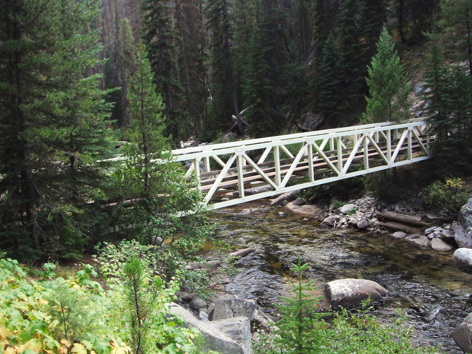 STAY VERTICAL: Split Creek, Secesh River Loop