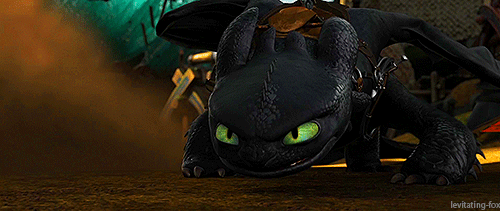 Toothless the Nightfury: Finals Week!!!