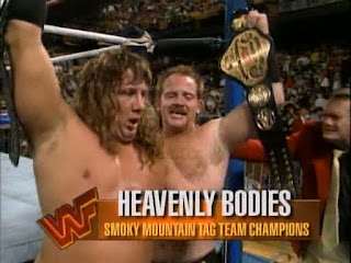 Wrestlemania para siempre: Survivor Series (1993)