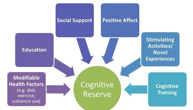 Alzheimer's Blog : Restoring Cognitive Reserve