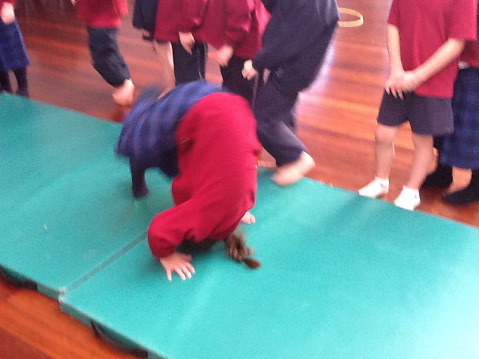 Kanuka Class Blog : Gymnastics