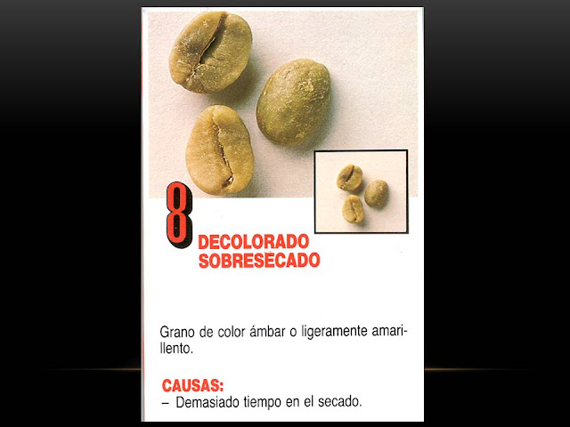 ASESORÍA CAFETERA: CONOSCA LOS DEFECTOS DEL CAFÉ
