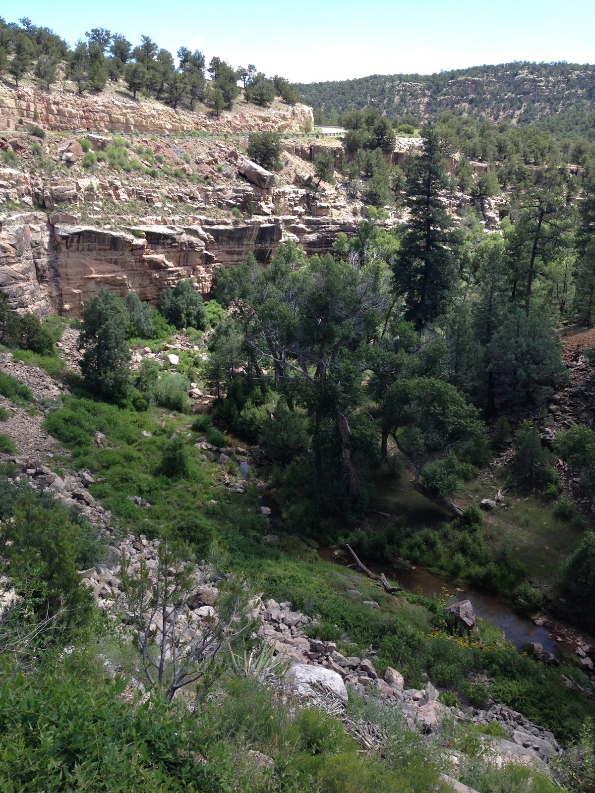 Southern New Mexico Explorer: Bluewater Canyon, Zuni Mountains- Cibola ...