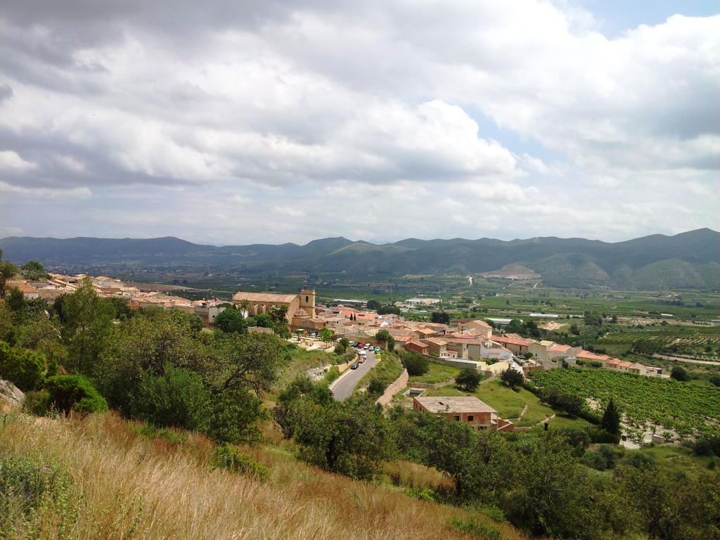 La molasa de Montesa. Una historia del Neógeno : Aventuras geológicas ...