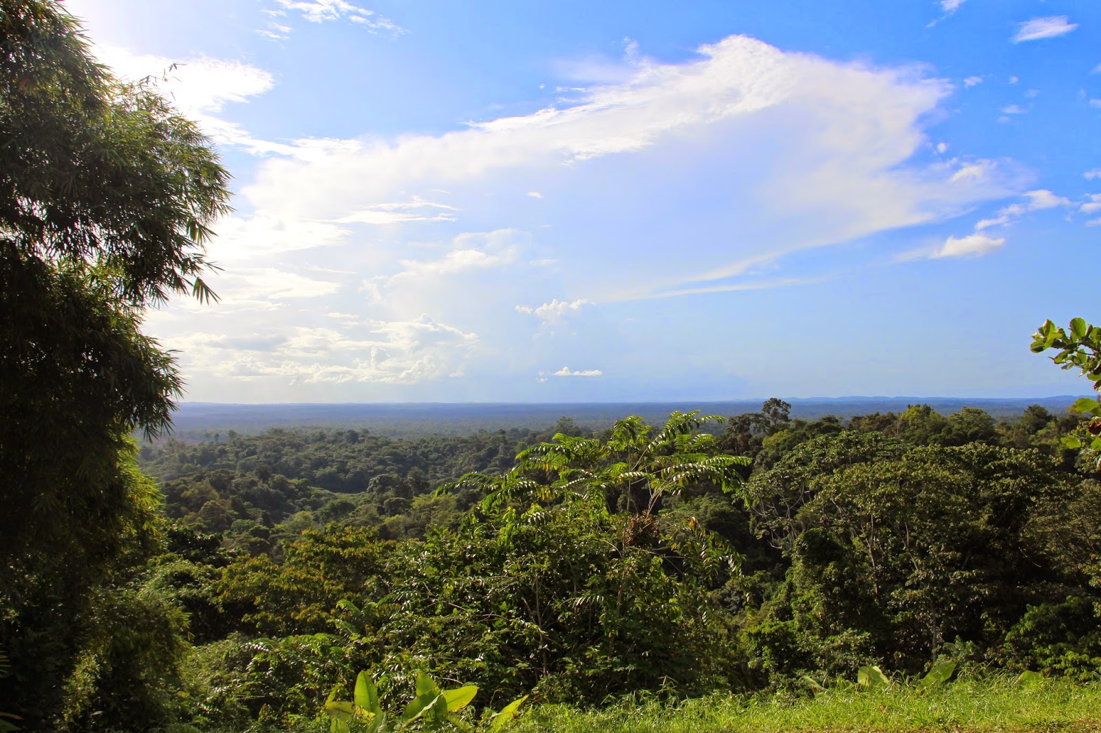 ty breizh en guyane: Le village de Cacao et son marché