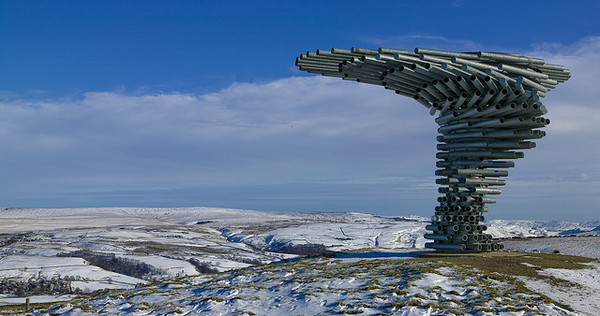 SUPER-RECOMENDO: ÁRVORE CANTORA