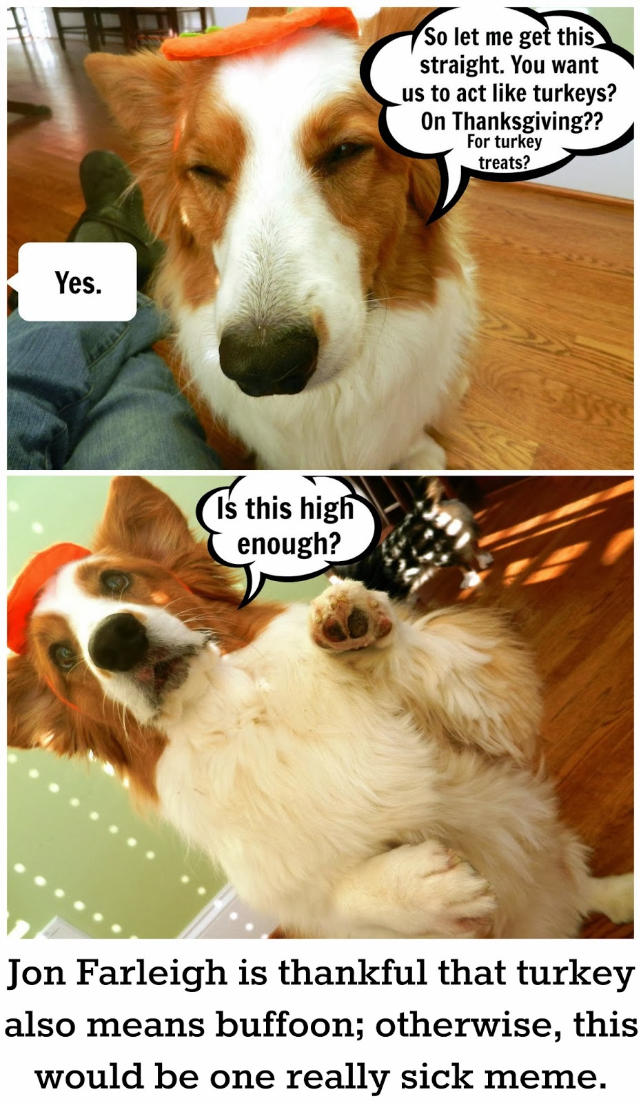 The Chronicles of Cardigan: Tacky Cardigan With Words on It: Stupid ...