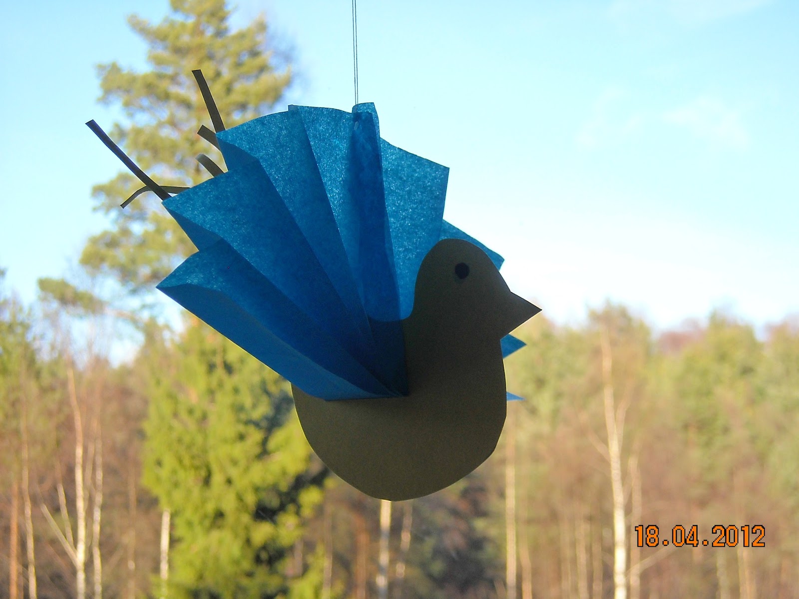 Ninnin leivonnaiset: Lintu