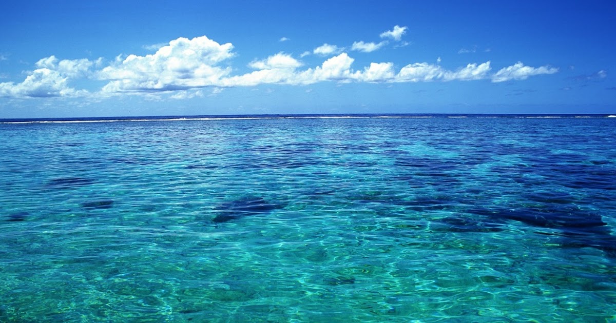 OCÉANOS DEL MUNDO : ¿QUÉ ES UN OCÉANO