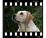 Dinsdale Photo Blog: February 2011