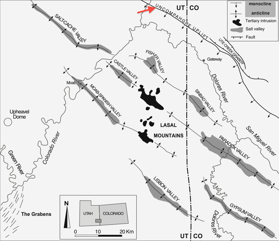 In the Company of Plants and Rocks: Paradox Exposed