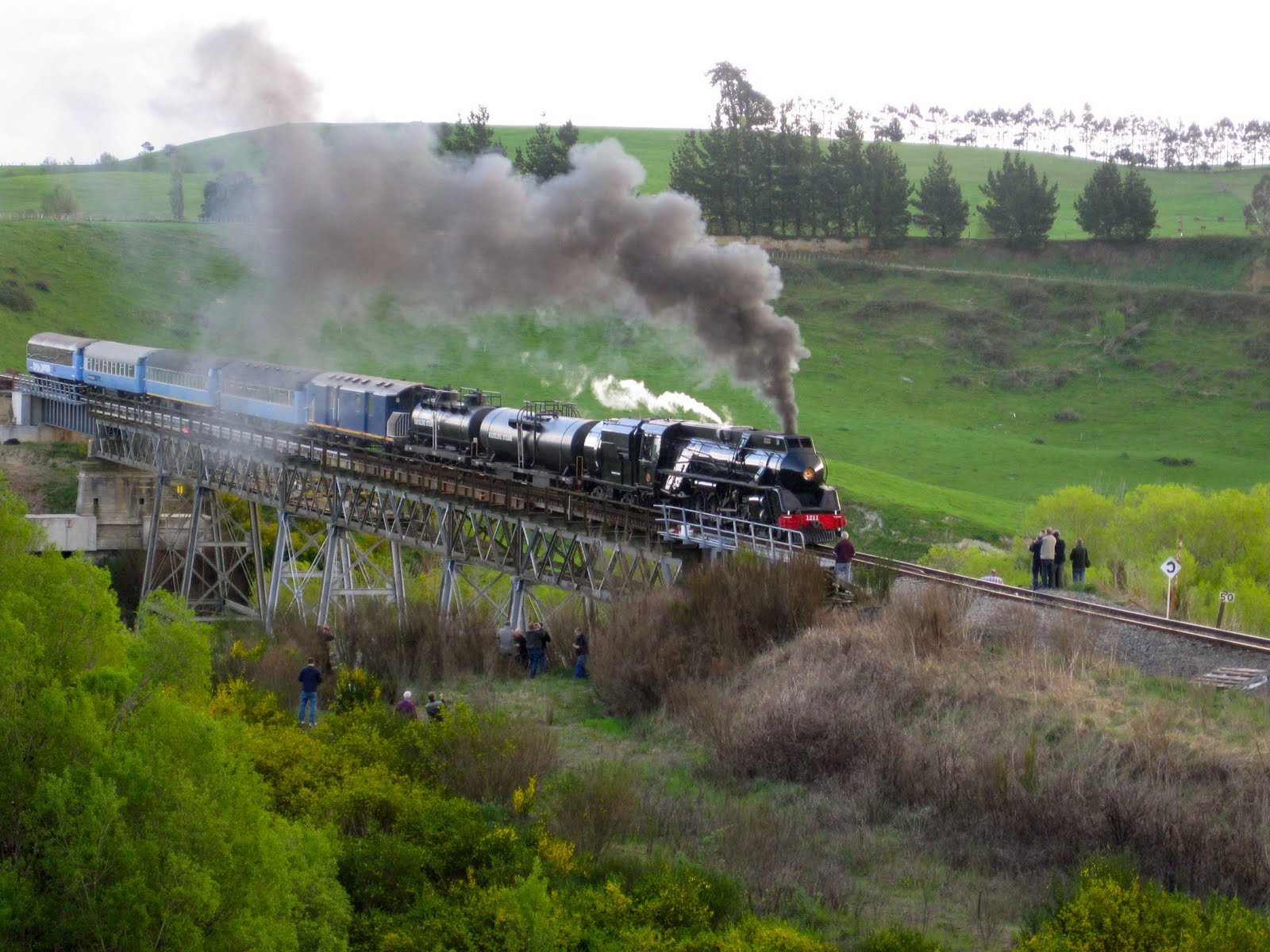 Carolyn in Aotearoa: Steam Train, Day Nine: Wellington to Napier