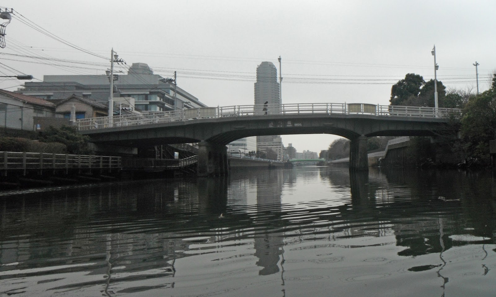 Bridge of the Week: June 2012