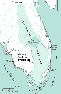 Geog 5 Lab 1G Final Projects: The Florida Everglades