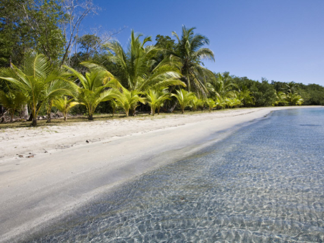 World Travel: Isla Colon, Panama