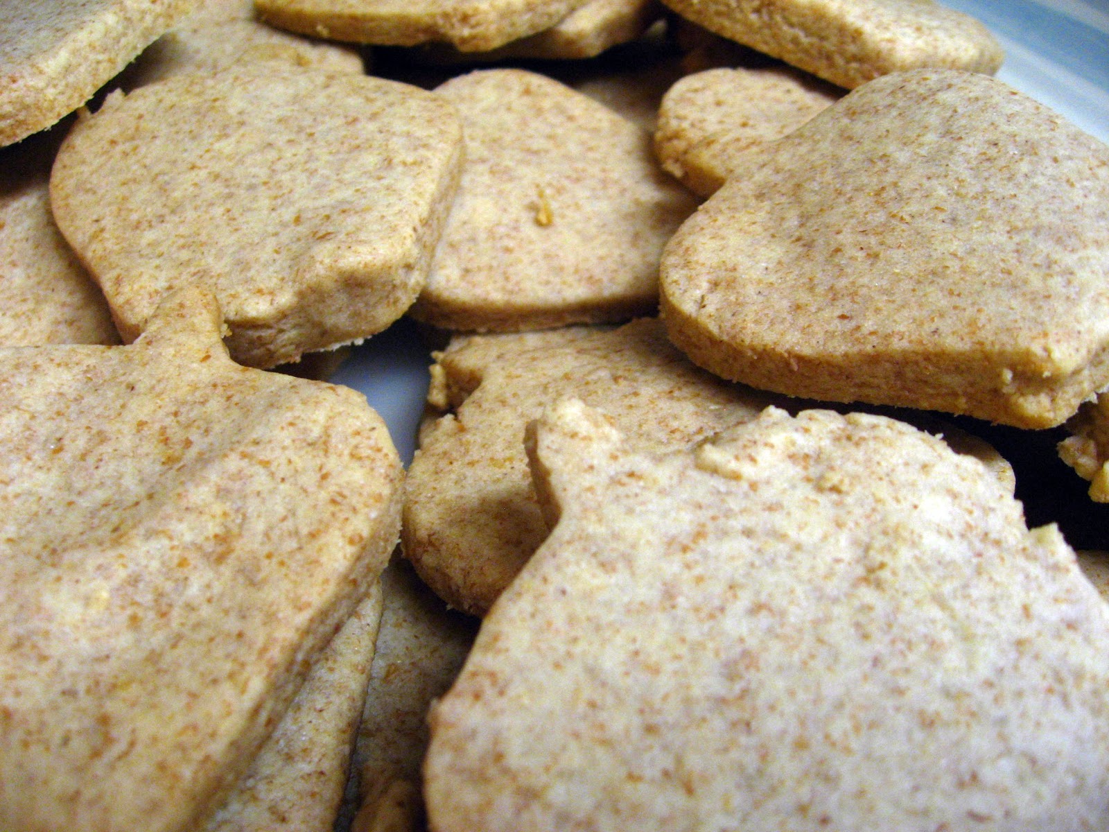 yellebellyboo: Honey Cookies
