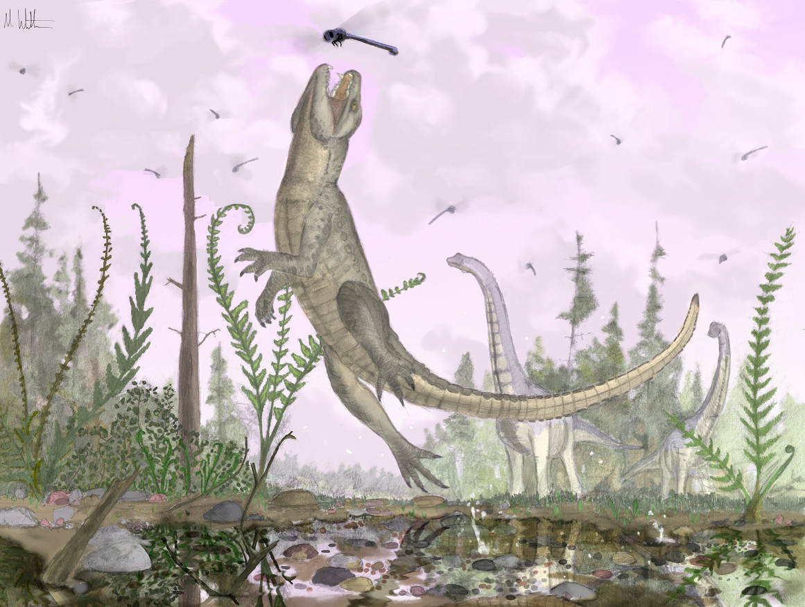 Mark P. Witton's Blog: The new African titanosaur which (almost) got ...