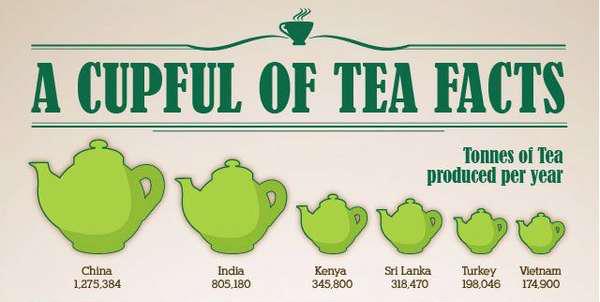 Tea Art Blog - Enriching Life: WORLD TOP TEA PRODUCERS