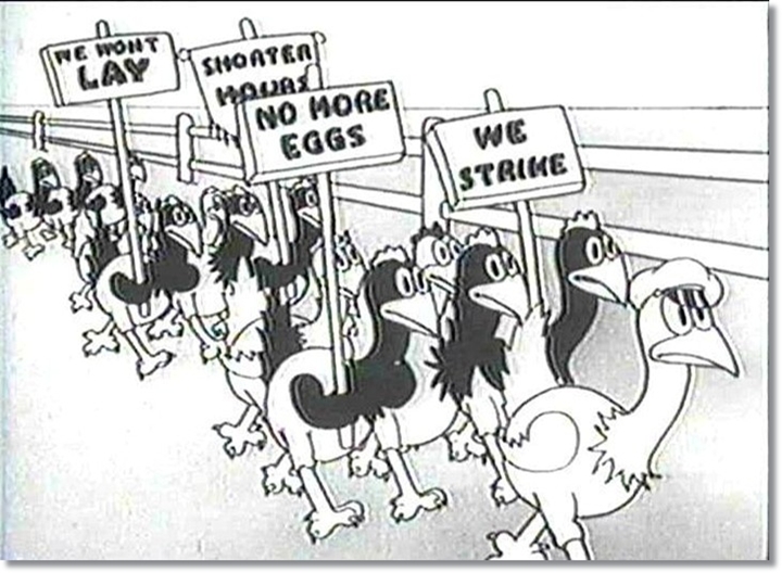 How to train your chicken