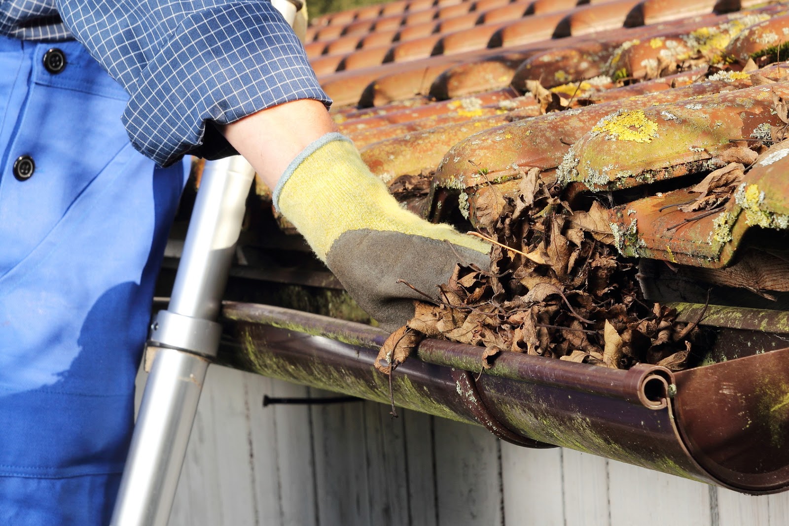 Guttering Sydney Service: Guttering Sydney Guidance For Gutter Maintenance