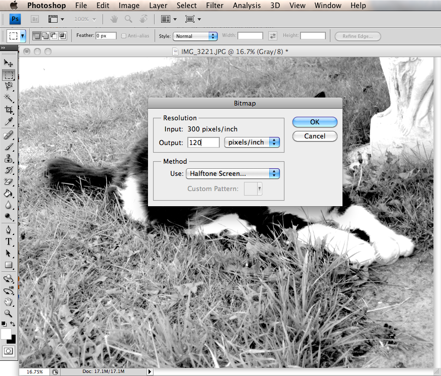 Screen Printing - Bitmapping