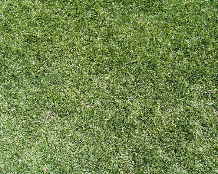 maygunrifanto: Material Render ( Rumput )