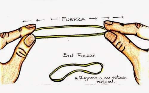 TREBALL TECNO"PONT": ELASTICITAT