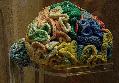 The Presurfer: Museum Of Scientifically Accurate Fabric Brain Art