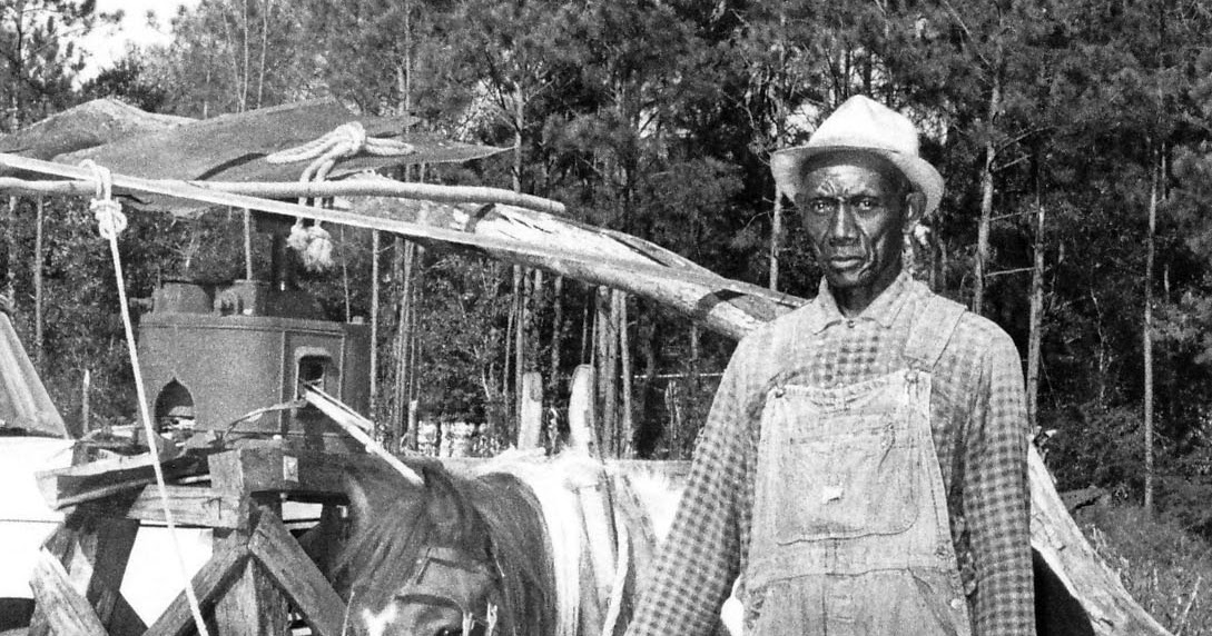 IMAGES OF OUR PAST - SUGAR CANE GRINDING, LAURENS COUNTY, GEORGIA 1960s.