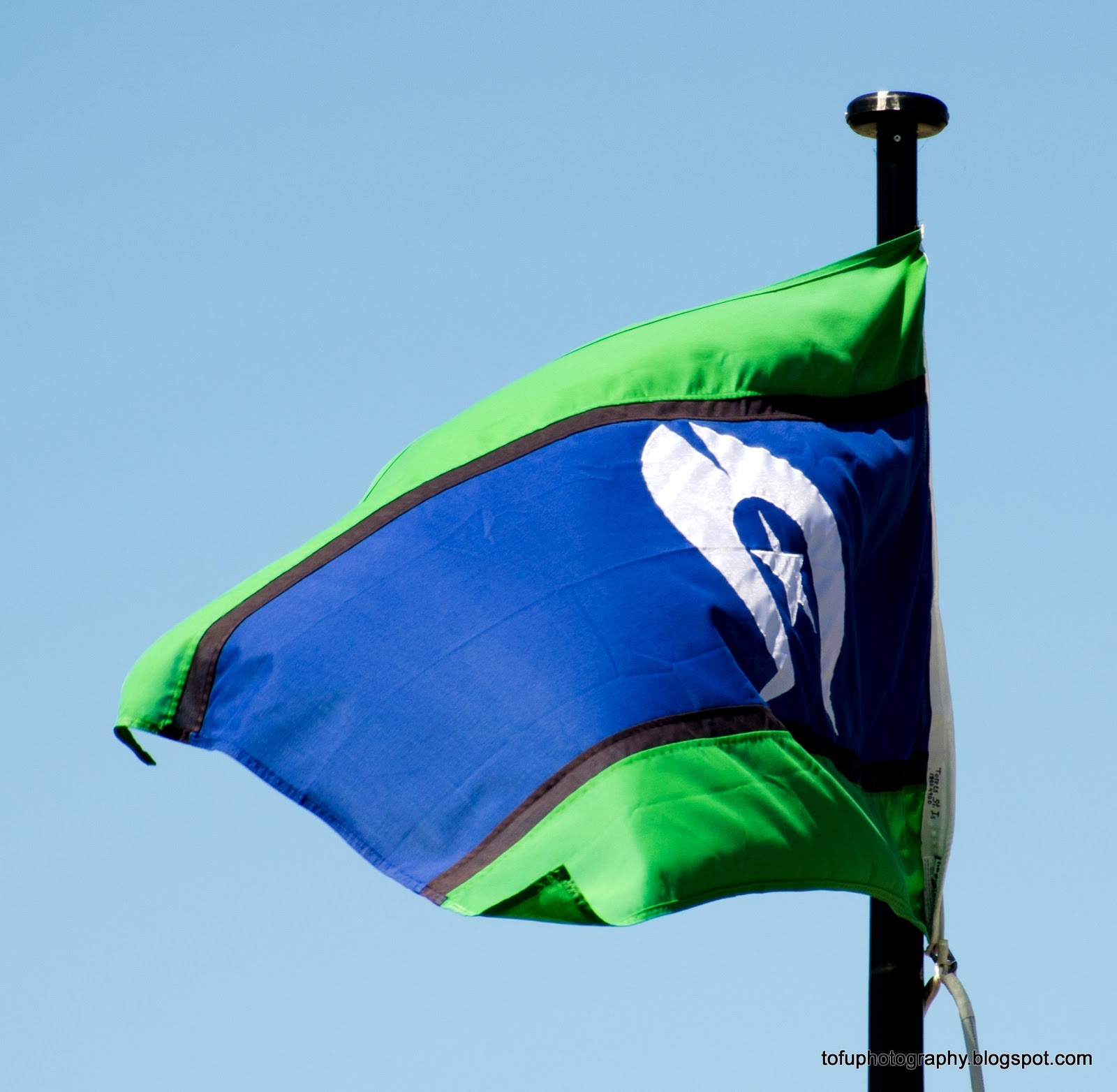 Tofu Photography: A Torres Strait Islander flag in Canberra