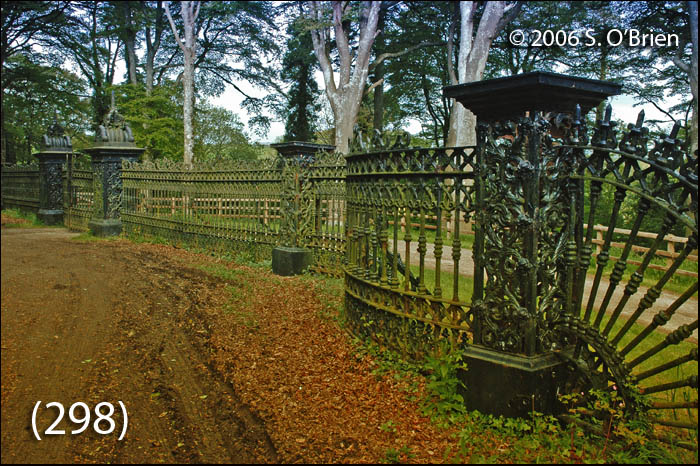 Portlaw: THE PORTLAW MORLEYS