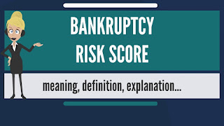 Bankruptcy risk score