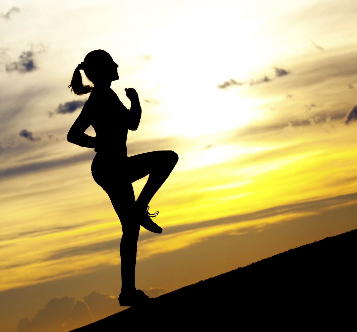 Hello, Beast. – Julie Flygare