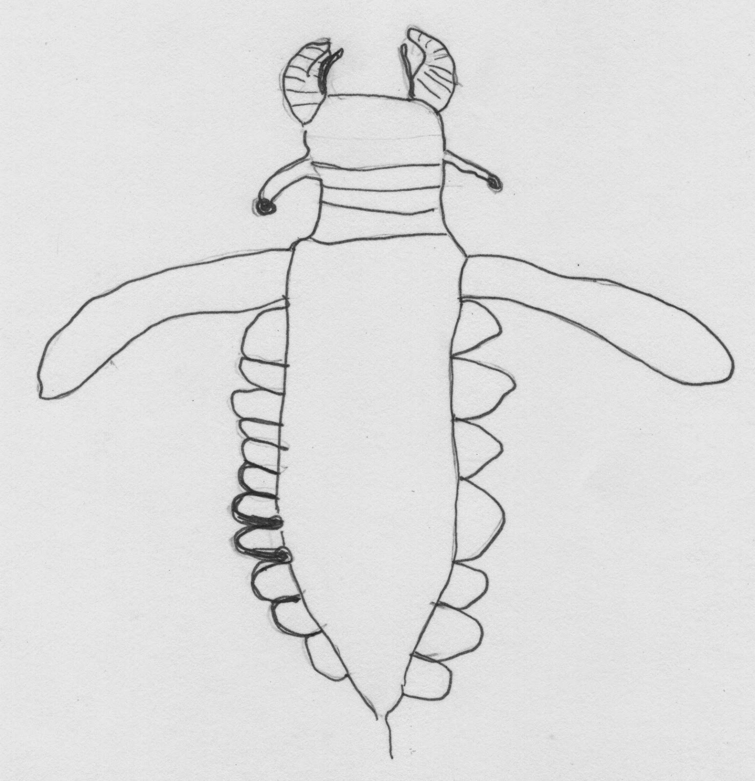 Life Before the Dinosaurs: Lyrarapax.