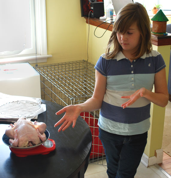 Lily's Chicken Mummy Project: Let's Make a Mummy!