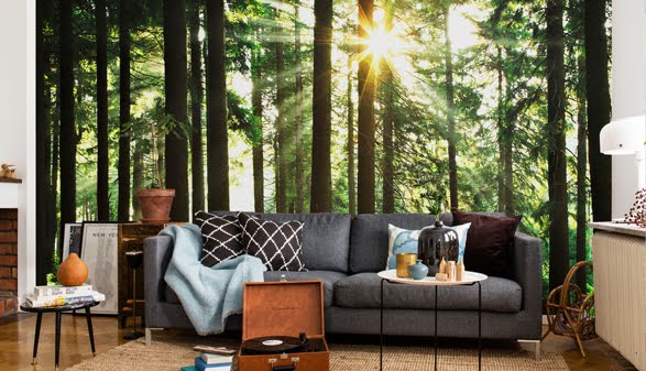 Wall Murals: Learn the 2 Basic Mural Types