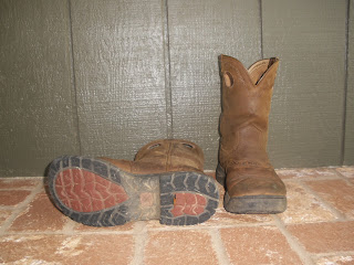 Stable Road Homestead Blog: A Personal Review :: Twisted X Women's All ...