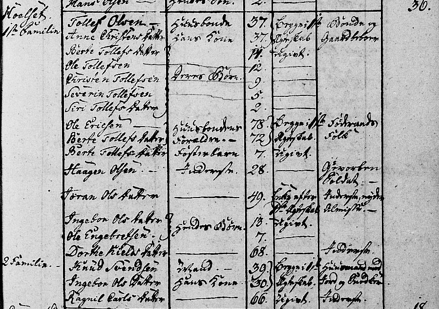 Dag Trygsland Hoelseth: Scanned version of the Norwegian national ...