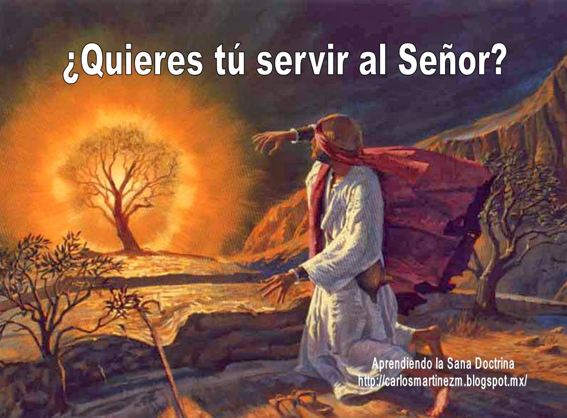 Aprendiendo la Sana Doctrina: ¿QUIERES TÚ SERVIR AL SEÑOR?