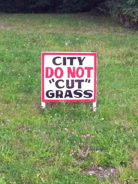 The “Blog” of “Unnecessary” Quotation Marks: Do not "cut" grass