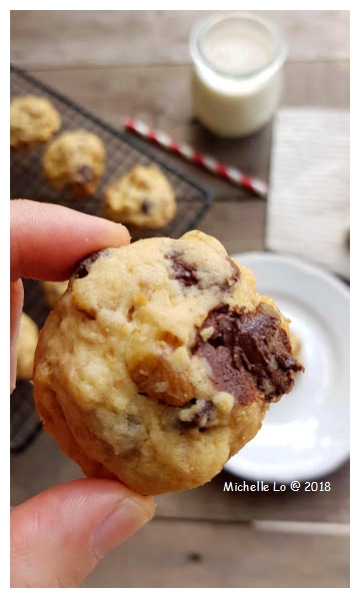 Bibi's Baking Journey: 幸好没错过 ~家喻户晓 巧克力坚果曲奇【The Famous Chocolate Nutty ...