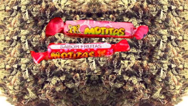 mitos sin sustancia: De los chicles motita a la mota chiclosa