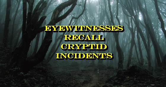 Phantoms and Monsters - Real Cryptid Encounter Reports - Fortean Researcher Lon Strickler