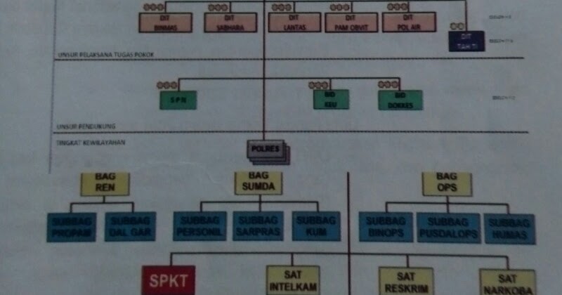 Struktur Organisasi Polri Tingkat Polda - Materi Pelajaran SD MI