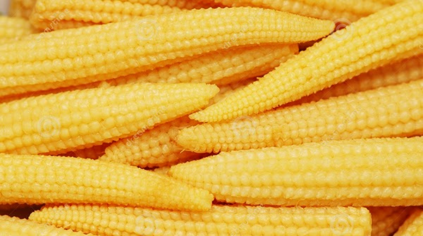 Baby Corn Production Guide