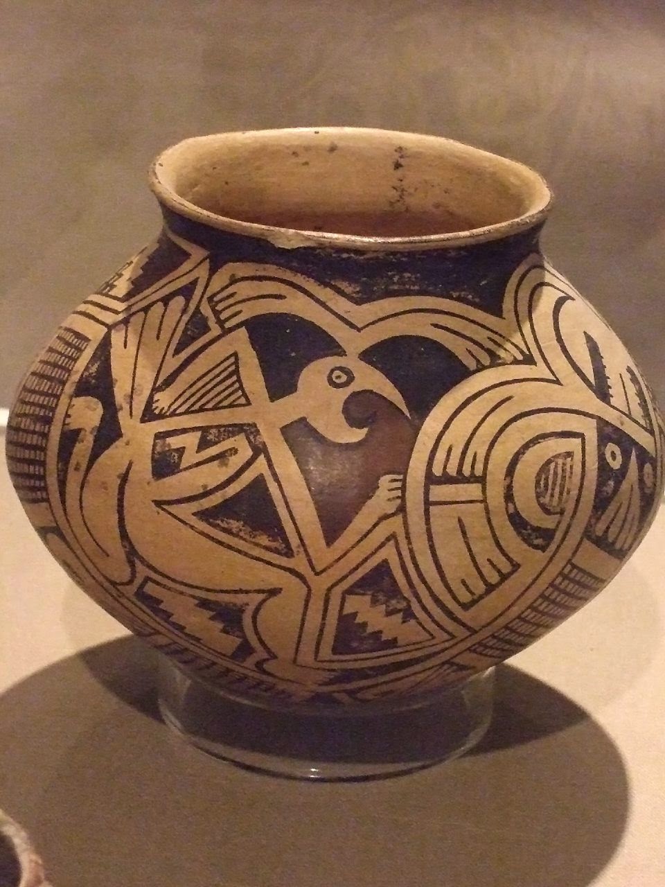 Andy foto natura: Vasijas