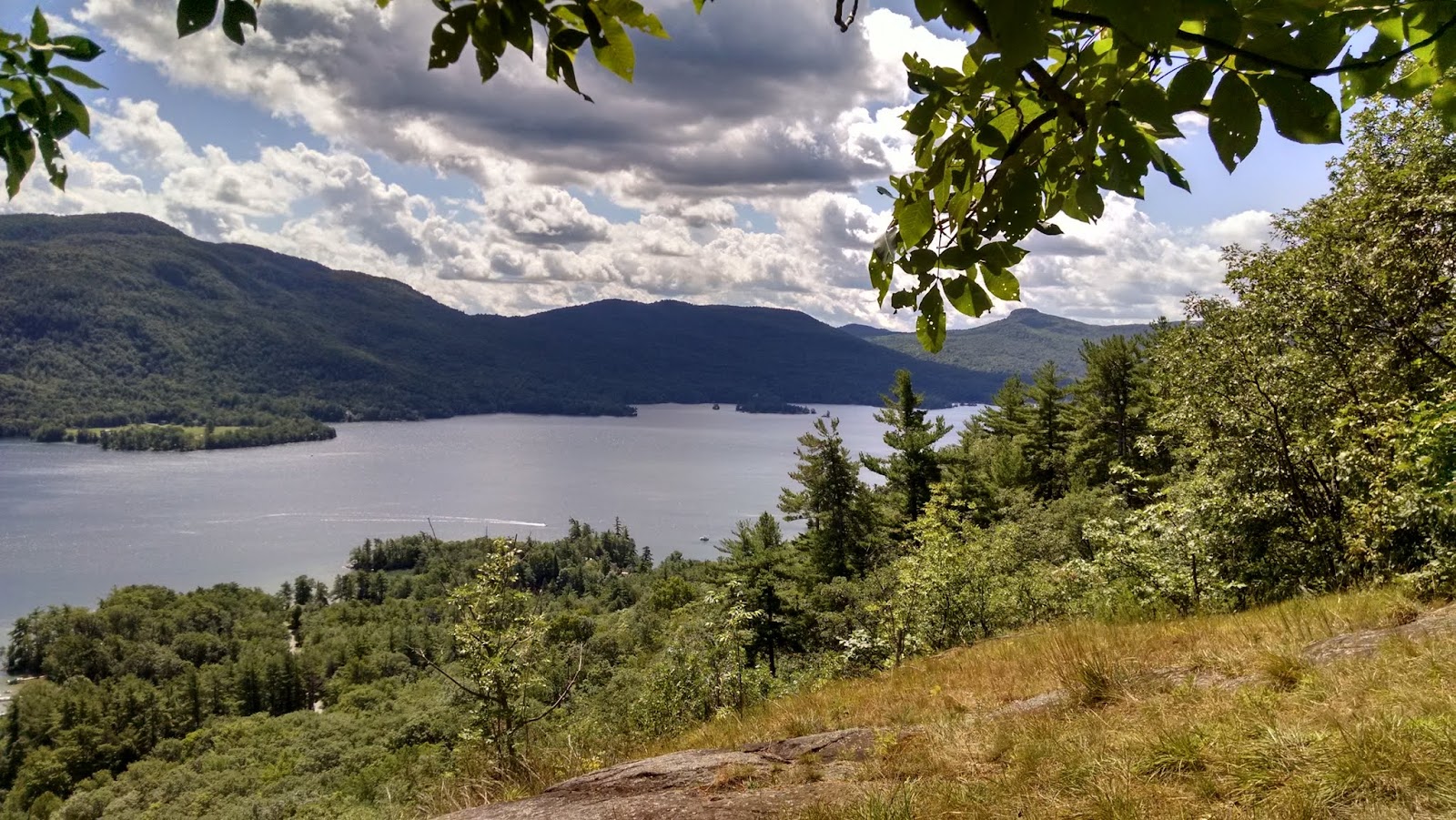 Off on Adventure: Terzian Woodlot - Hague, NY - 8/1/15