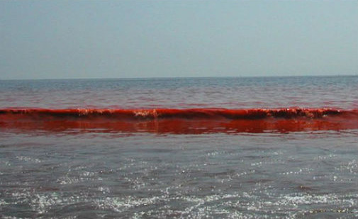 VISIONES LUCIDAS: Aguas del Mar Azov (entre Rusia y Ucrania) se vuelven ...