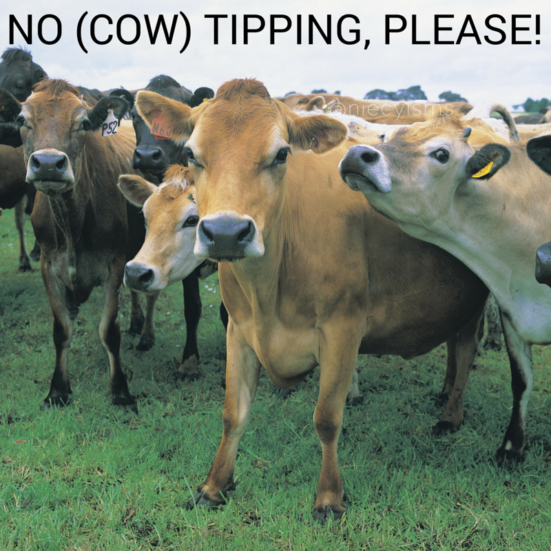 Friday's Fact or Fiction No (Cow) Tipping, Please!