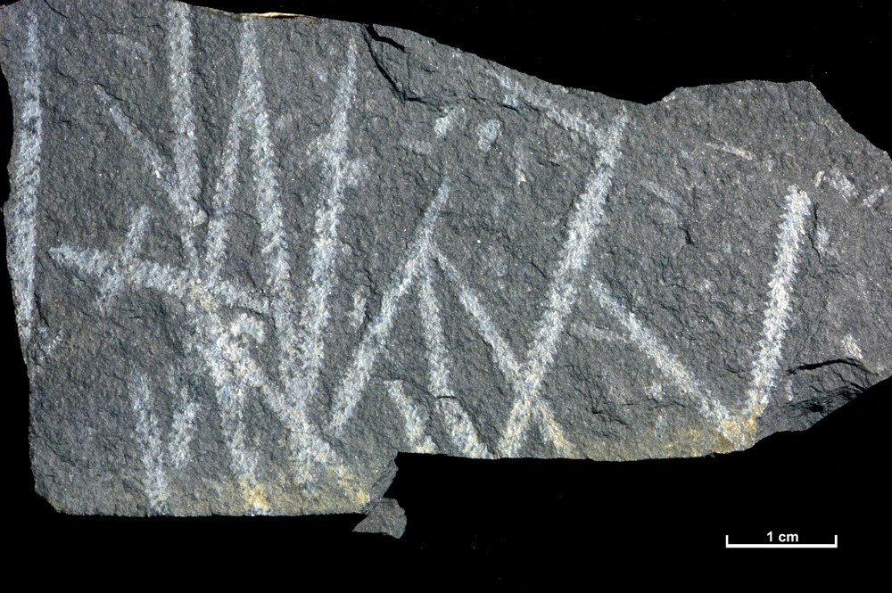 BGS Geoheritage – images from the collections: Charles Lapworth ...